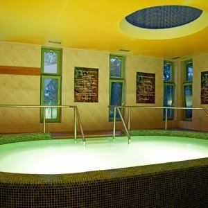 Harkanj Banja & Pečuj | Online Travel